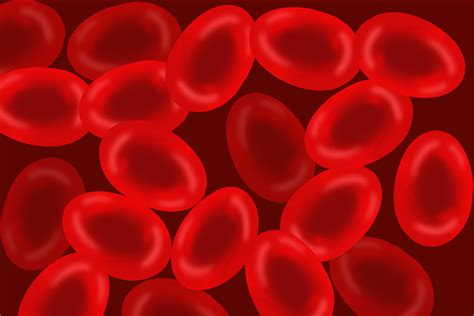 Image result for Discontinuous Variation