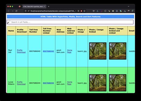 Image result for HtmlTable Code Template