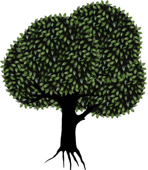Tree Clip art - Tree Transparent Background png download - 833*960 ...