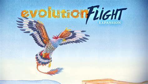 Image result for fly vision evolution