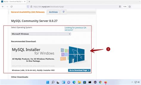 Image result for MySQL Server Install Windows11 64-Bit