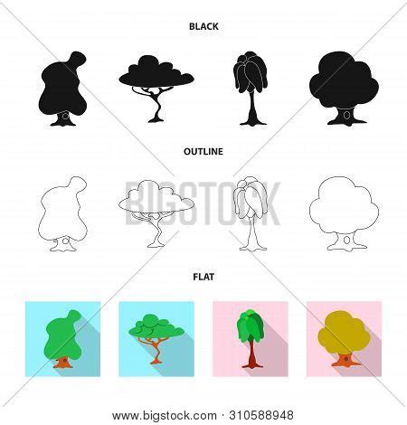 Image result for Tree Bitmap Algorithm
