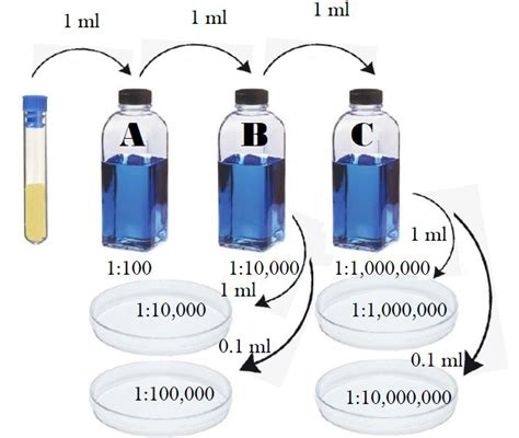 Image result for Total Count Method Microbiology