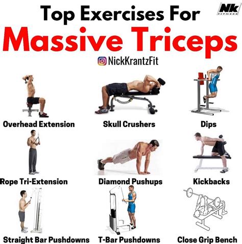 Image result for Bisect Workouts