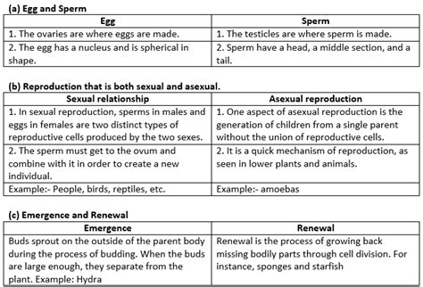 Image result for Reproduction in Humans Class 8