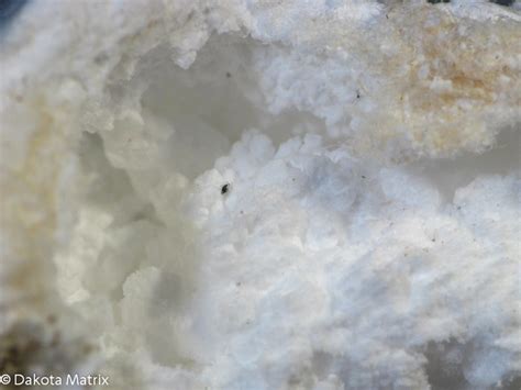 Image result for Natron Color