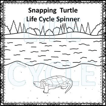 Image result for Snapping Turtle Life Cycle