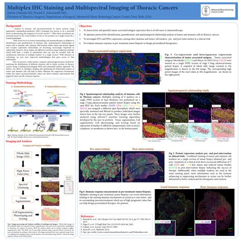 Image result for Multiplex IHC Texture Types Diffuse