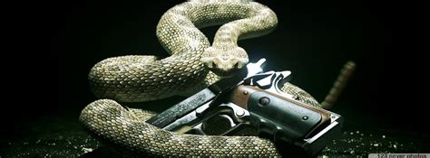 Image result for Gangster Python IFP