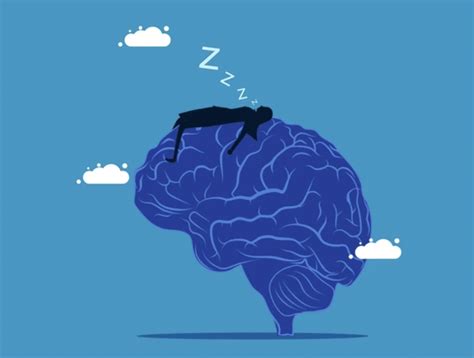 Image result for Post Learning Sleep