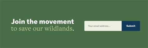 Image result for Informal Blog Post Example