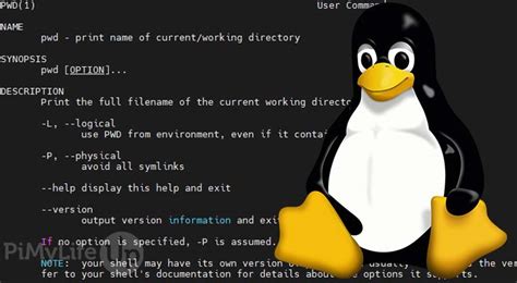 Image result for PWD Linux Command GIF