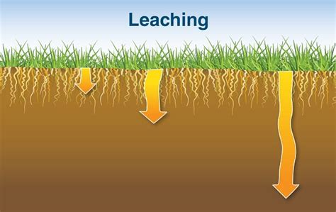 Image result for Leaching Process Explained
