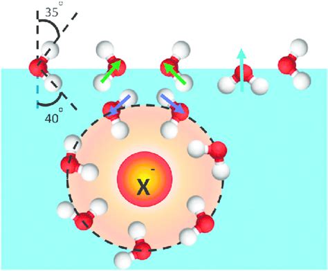 Image result for Halide Ions Practical