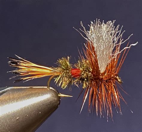 Image result for Royal Coachman Fly Pattern