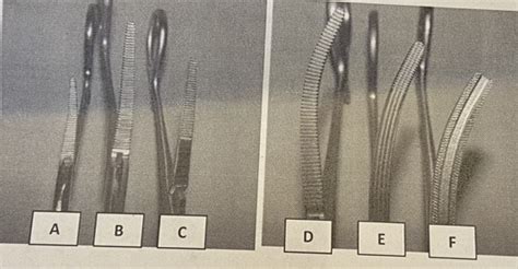 identify hemostatic forceps Diagram | Quizlet