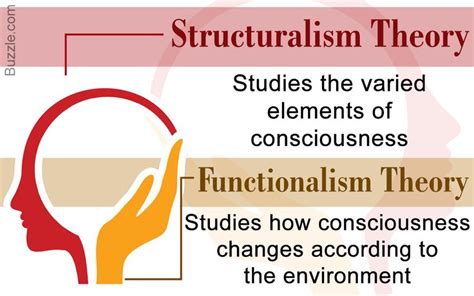Image result for Difference of Structuralism and Functionalism