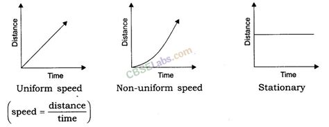 Image result for Class 9 PHY Motion Graphs