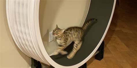 Image result for Raspberry Pi Motion Capture