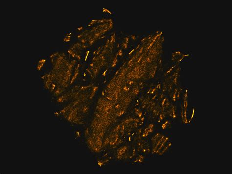 Image result for Machine Learning Long Reactangular Image