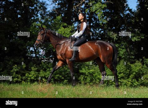 Image result for Beautiful Model Rides