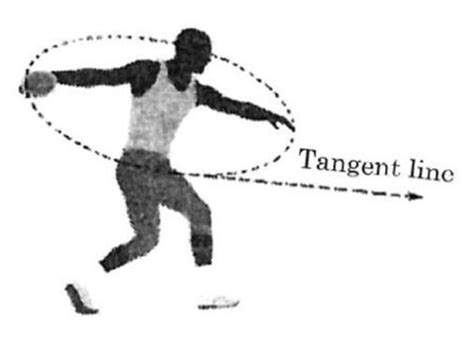 Image result for Discus Rotation