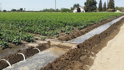 Surface Irrigation Technology Saves Water, Money