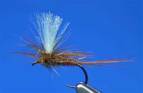 Image result for Making Dry-Fly Tails