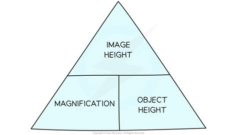 Image result for Magnification Equation Examples