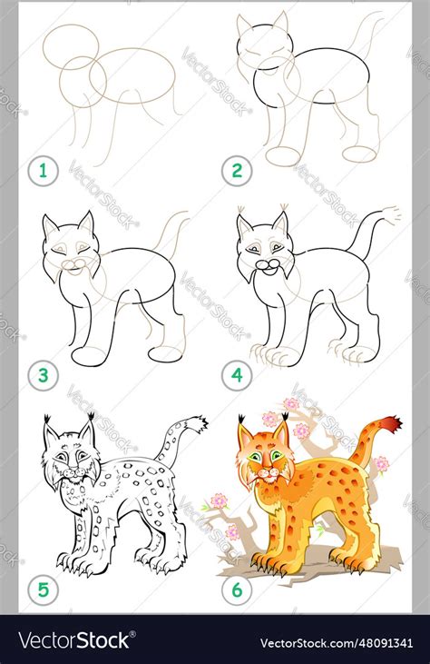 Image result for Learning How to Draw Step by Step