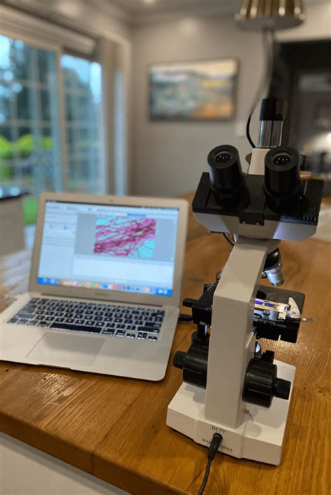 Image result for OMAX Microscope Camera Not Showing Up On Computer