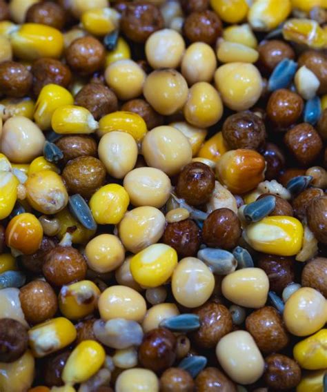 Image result for Pro Comp Spod