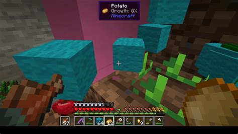 Image result for Randomizer Minecraft YouTube Mod