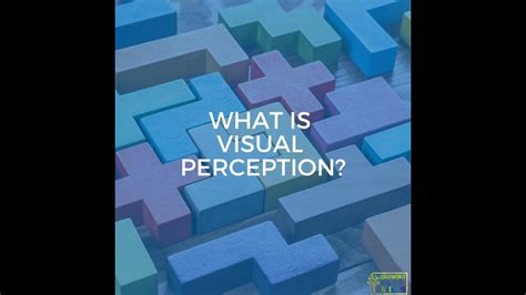 Image result for Perceive Example