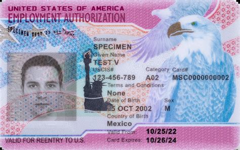 Image result for Work Permit Card Front and Back