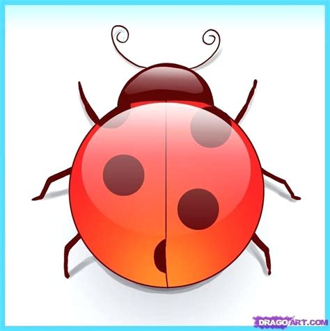 Image result for Ladybug Line Drawing