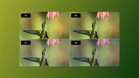 Image result for Streaming Resolution