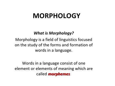 Image result for Example of Morphological