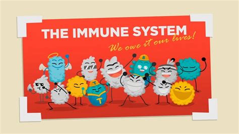 Image result for How Does Immune System Work