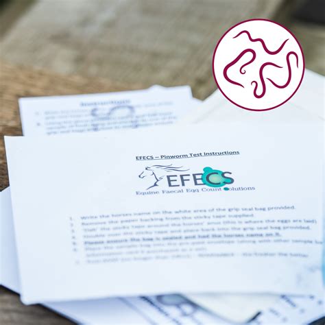 Image result for Pinworm Tape Test Procedure