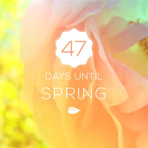 Image result for Countdown Spring