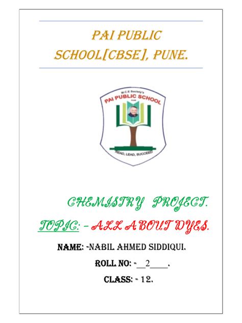 Image result for Class 12 Project Index in Creativity