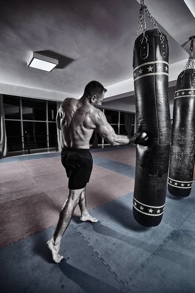 Image result for Boxing Practice Pic