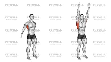 Image result for Dynamic Lower Back Stretch
