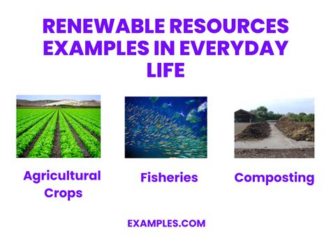 Image result for Renewable resource Examples