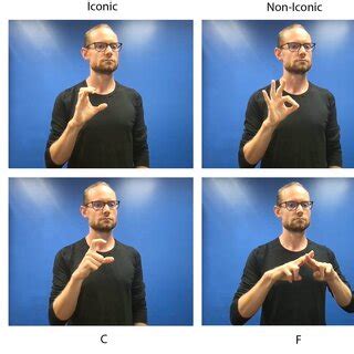 Image result for ASL Lexical