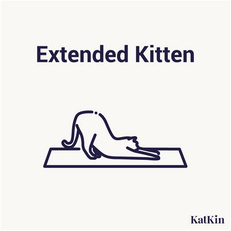 Image result for Back Cat Yoga