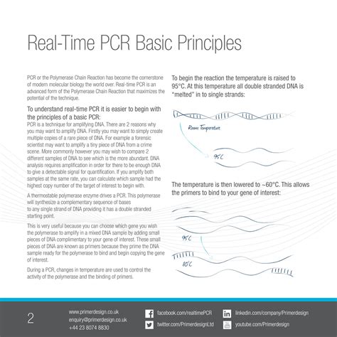 Image result for PCR Tutorial for Absolute Beginners