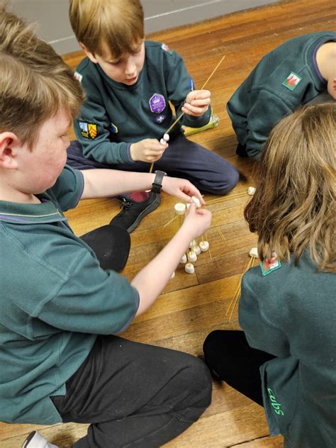 Image result for Problem Solving Teamwork Scouts