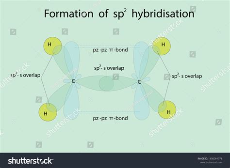 Image result for SP2 Hybridization Examples